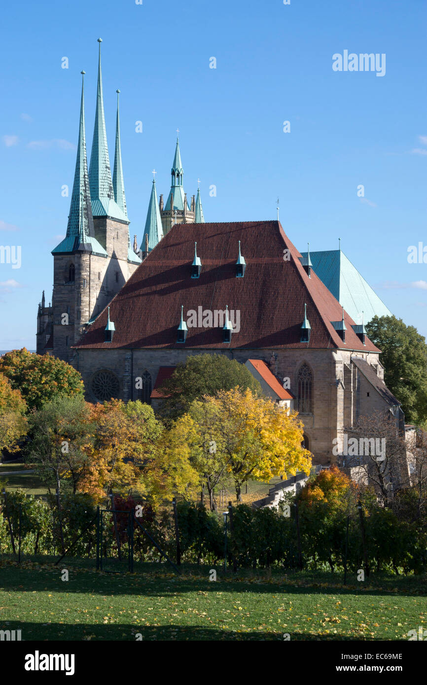 View of the Severikirche Church of St Severus in the background the ...