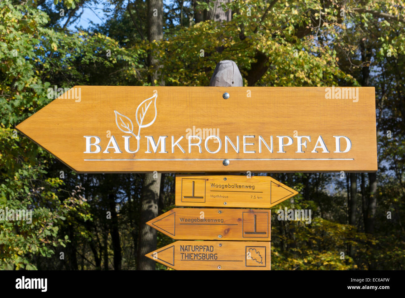 Fingerpost Baumkronenpfad tree top walk in the Hainich National Park ...
