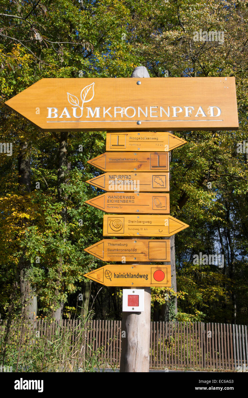 Fingerpost Baumkronenpfad tree top walk in the Hainich National Park ...