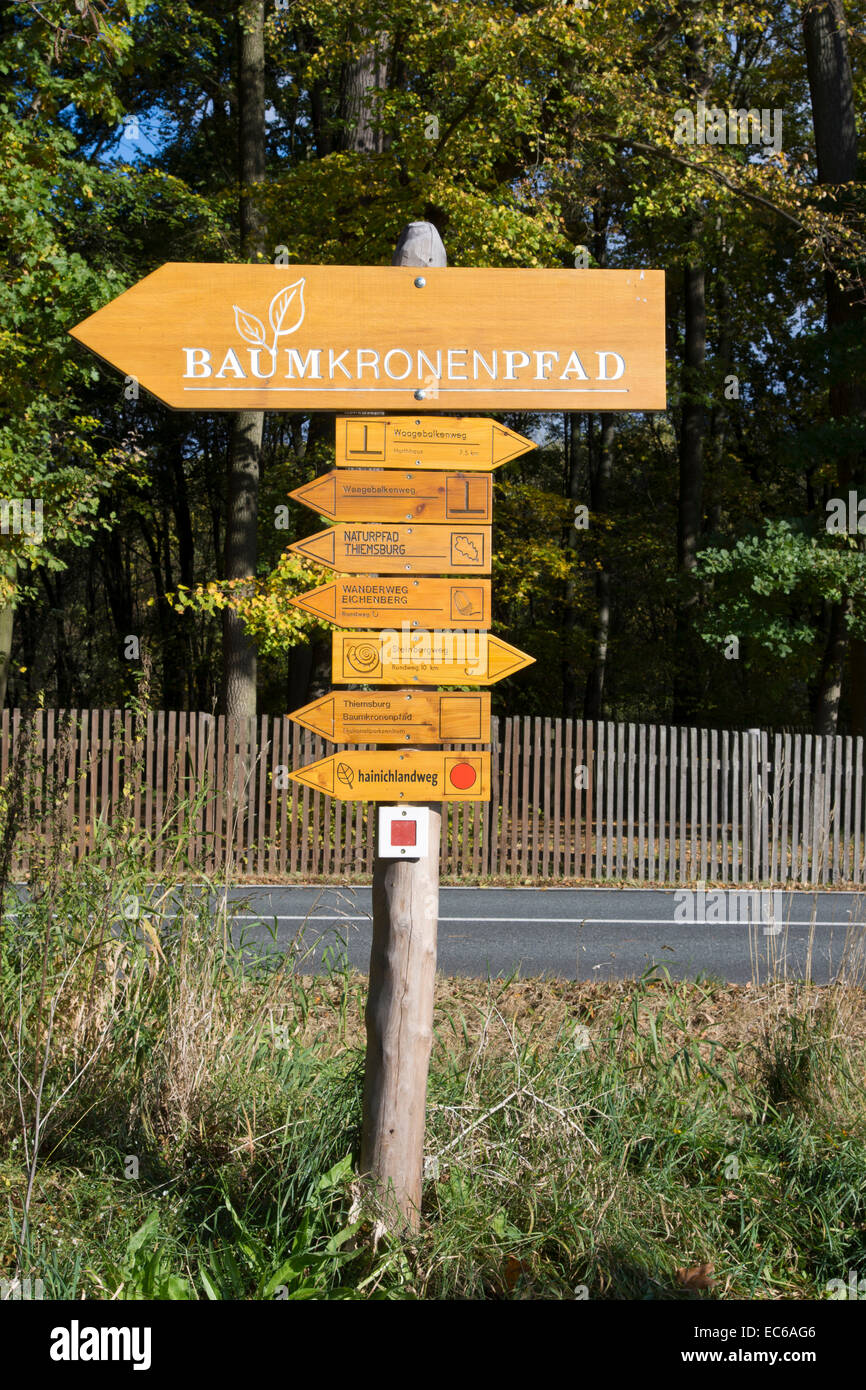 Fingerpost Baumkronenpfad tree top walk in the Hainich National Park ...