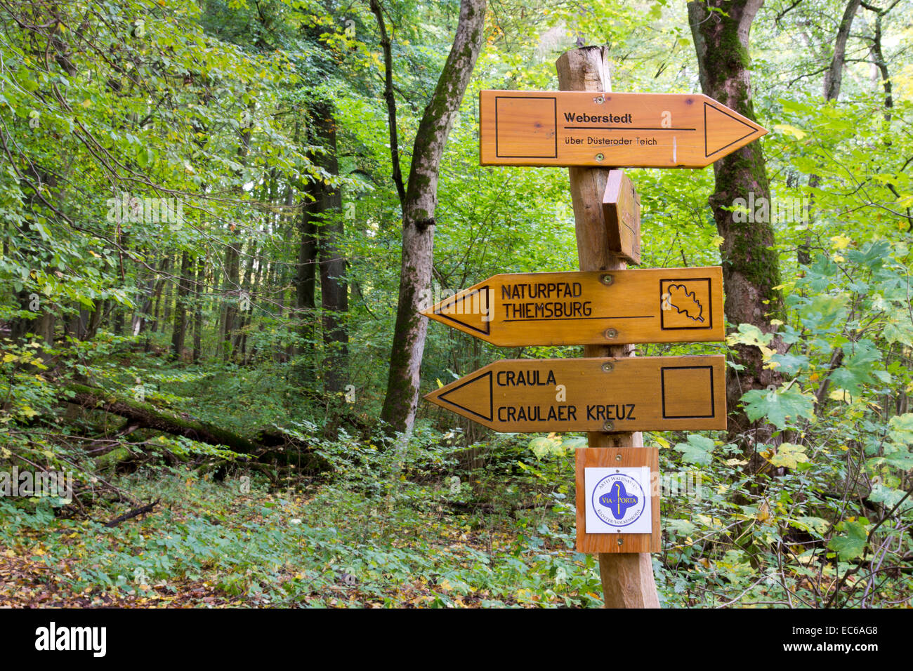 Direction sign Hainich National Park, UNESCO World Heritage, near Bad ...