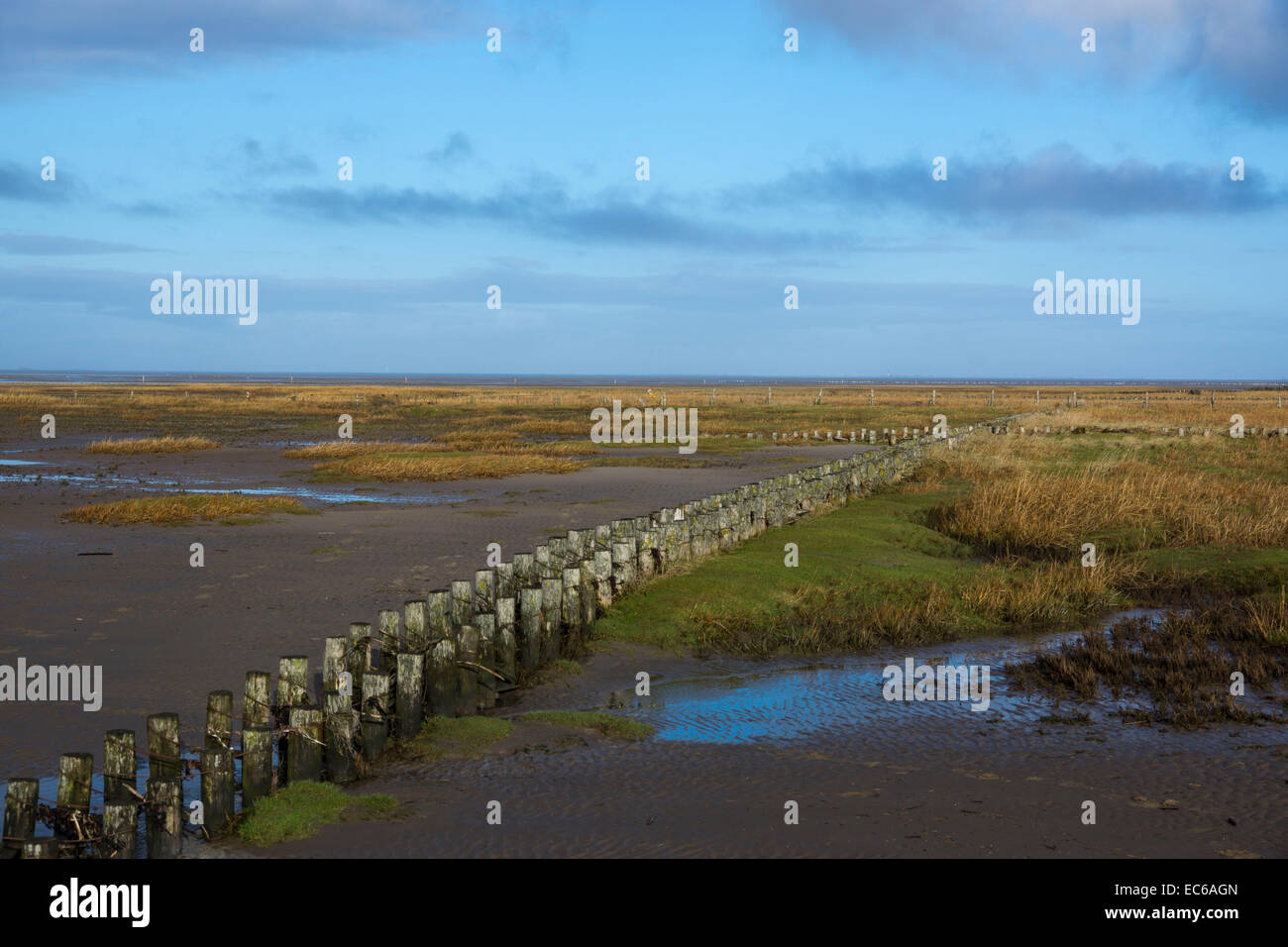 Salt marshes and coastal protection measures behind the dykes at ...