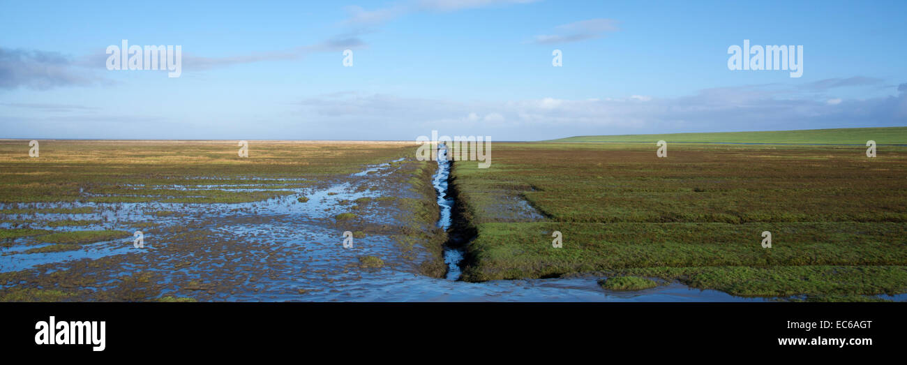 Salt marshes behind the dykes at Westerhever, Eiderstedt Peninsula ...