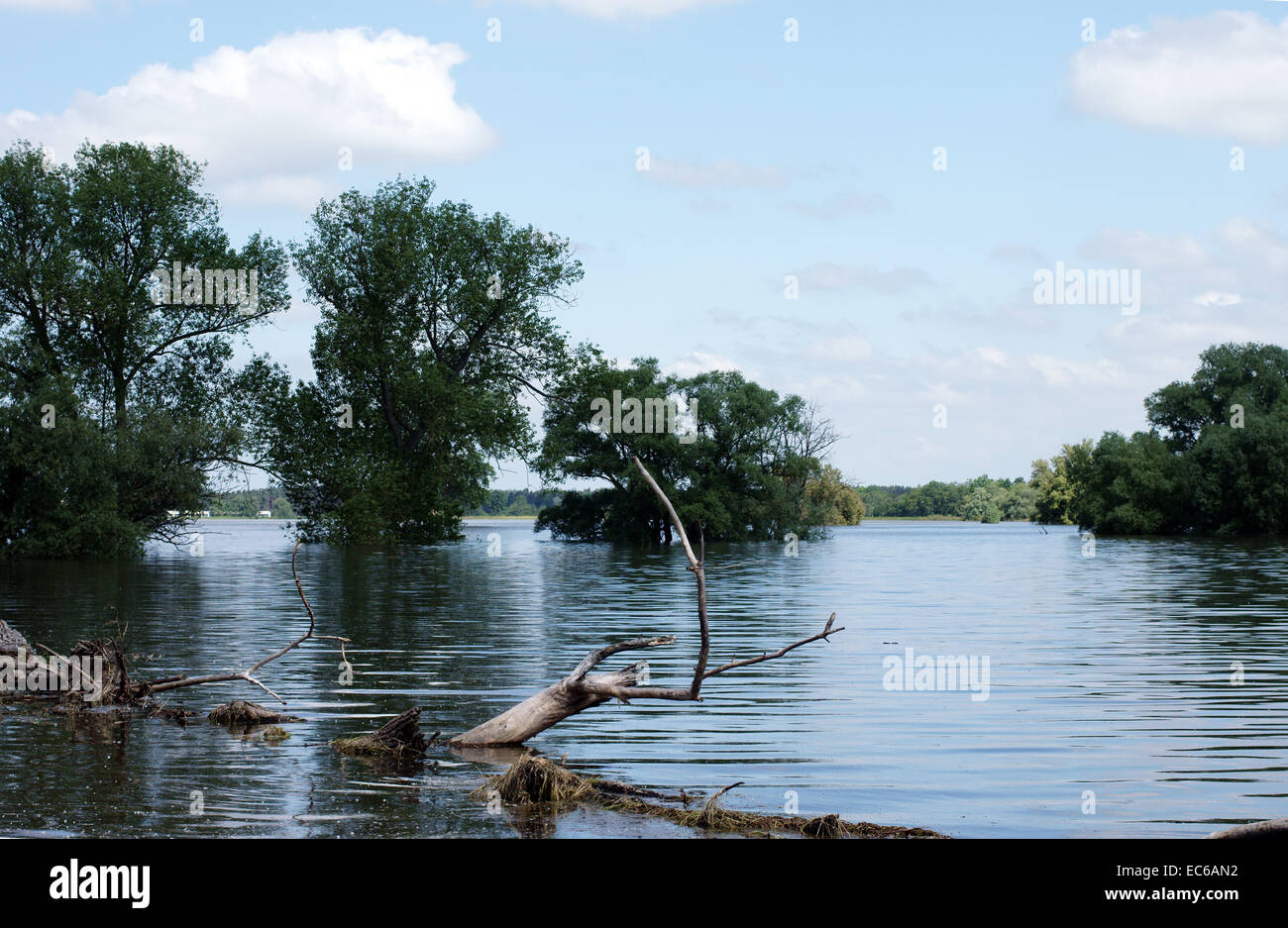 Tree trunk flood waters hi-res stock photography and images - Alamy