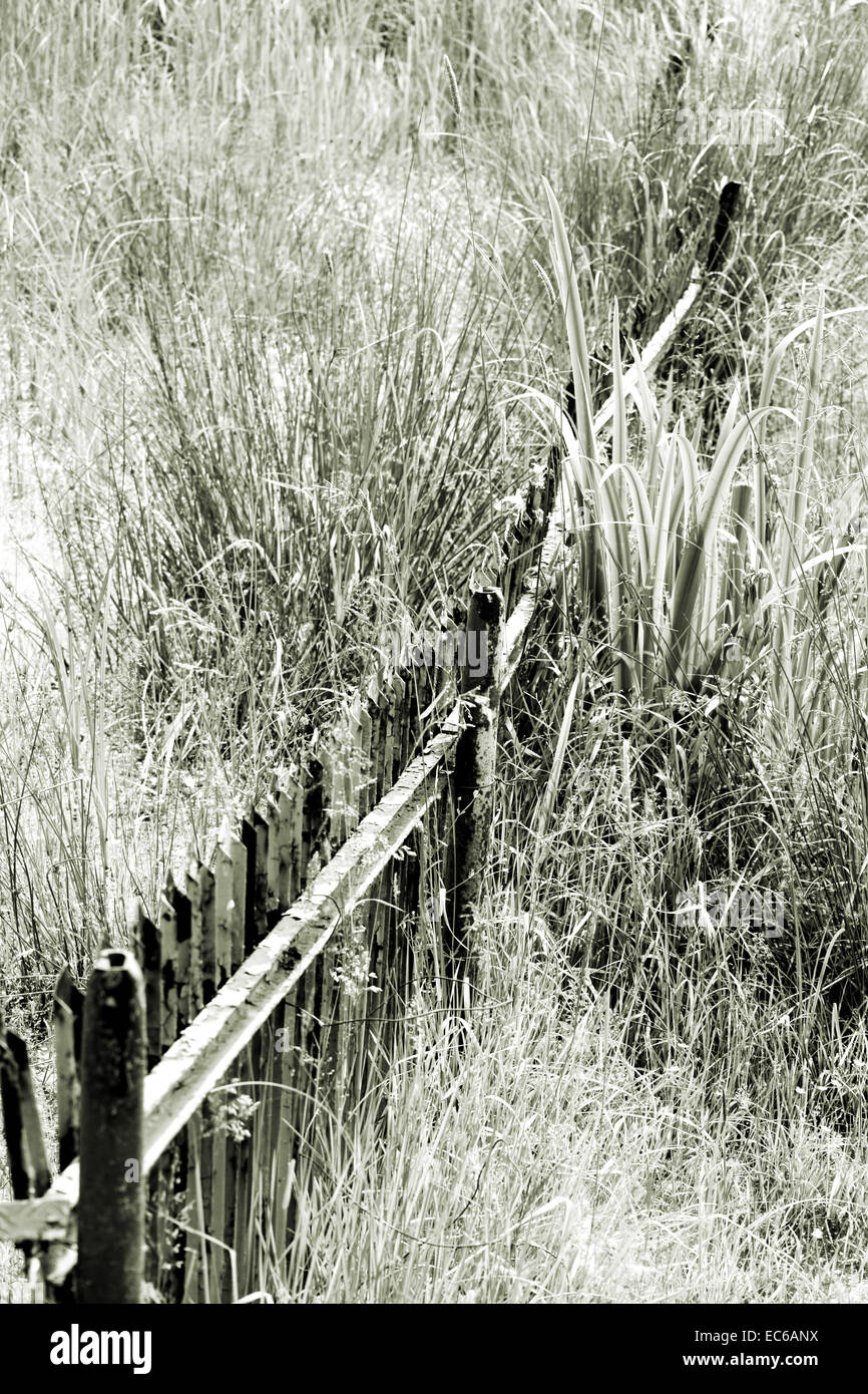 Rotten iron hi-res stock photography and images - Alamy