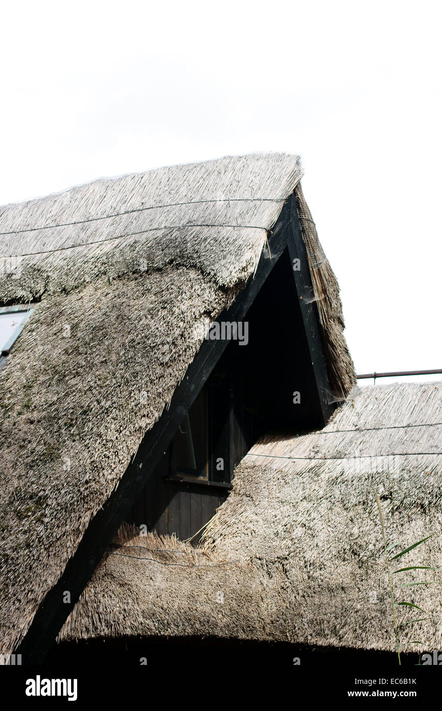 Historic fishermans cottage hi-res stock photography and images - Alamy