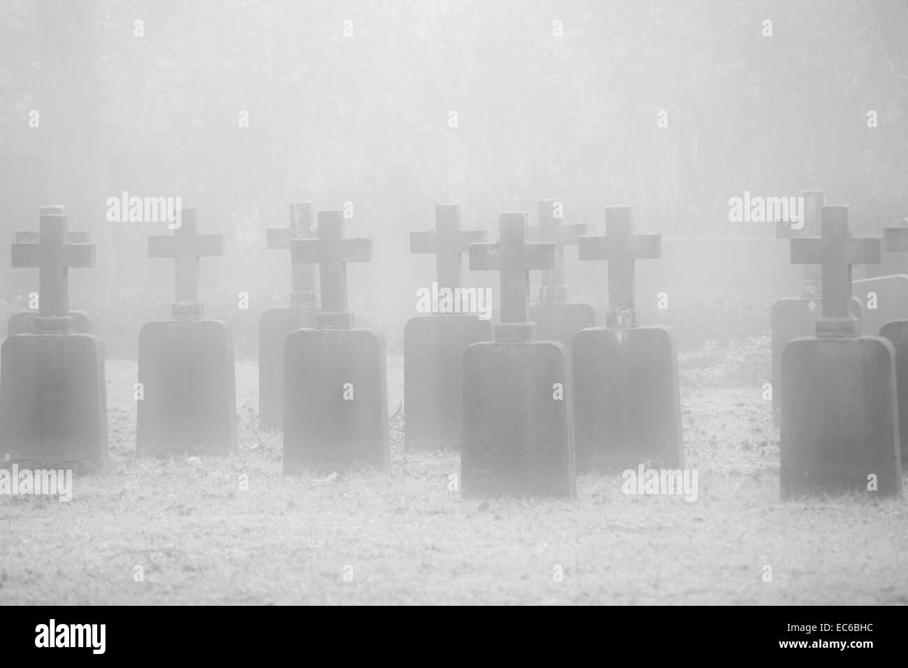 Mass of white crosses hi-res stock photography and images - Alamy