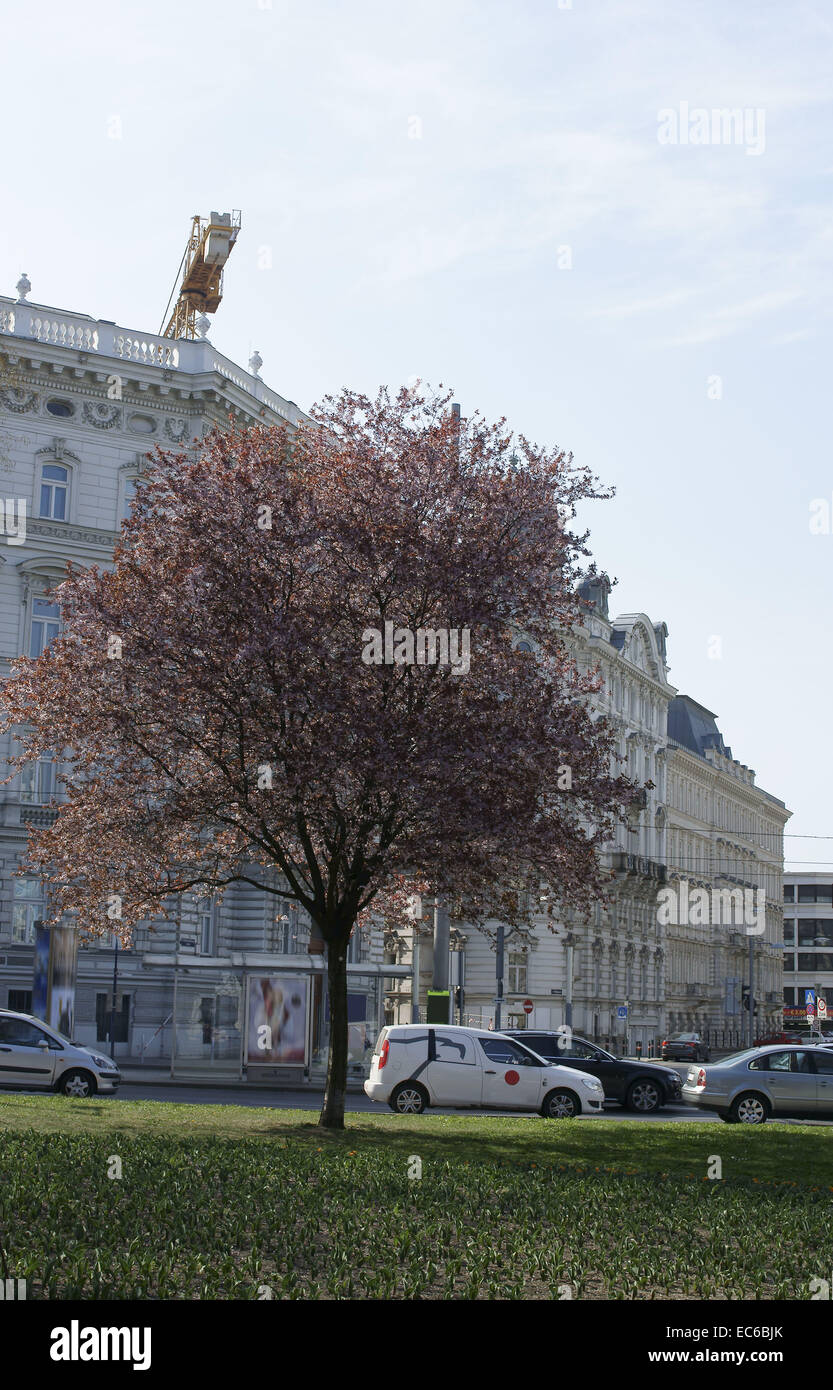 Cars park in place hi-res stock photography and images - Alamy