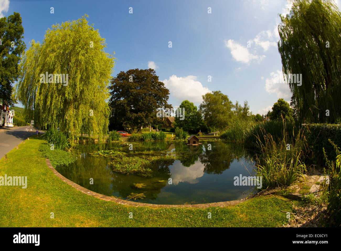 Duck pond on a roundabout hi-res stock photography and images - Alamy