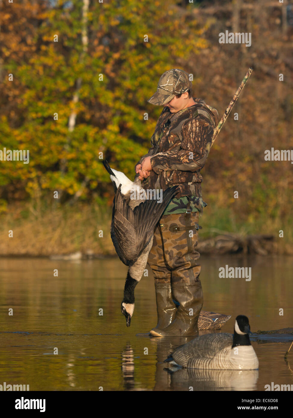 Young Goose Hunter Stock Photo - Alamy