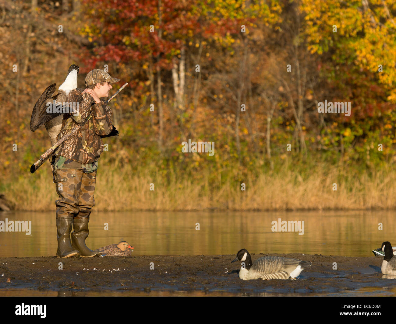 Young Goose Hunter Stock Photo - Alamy