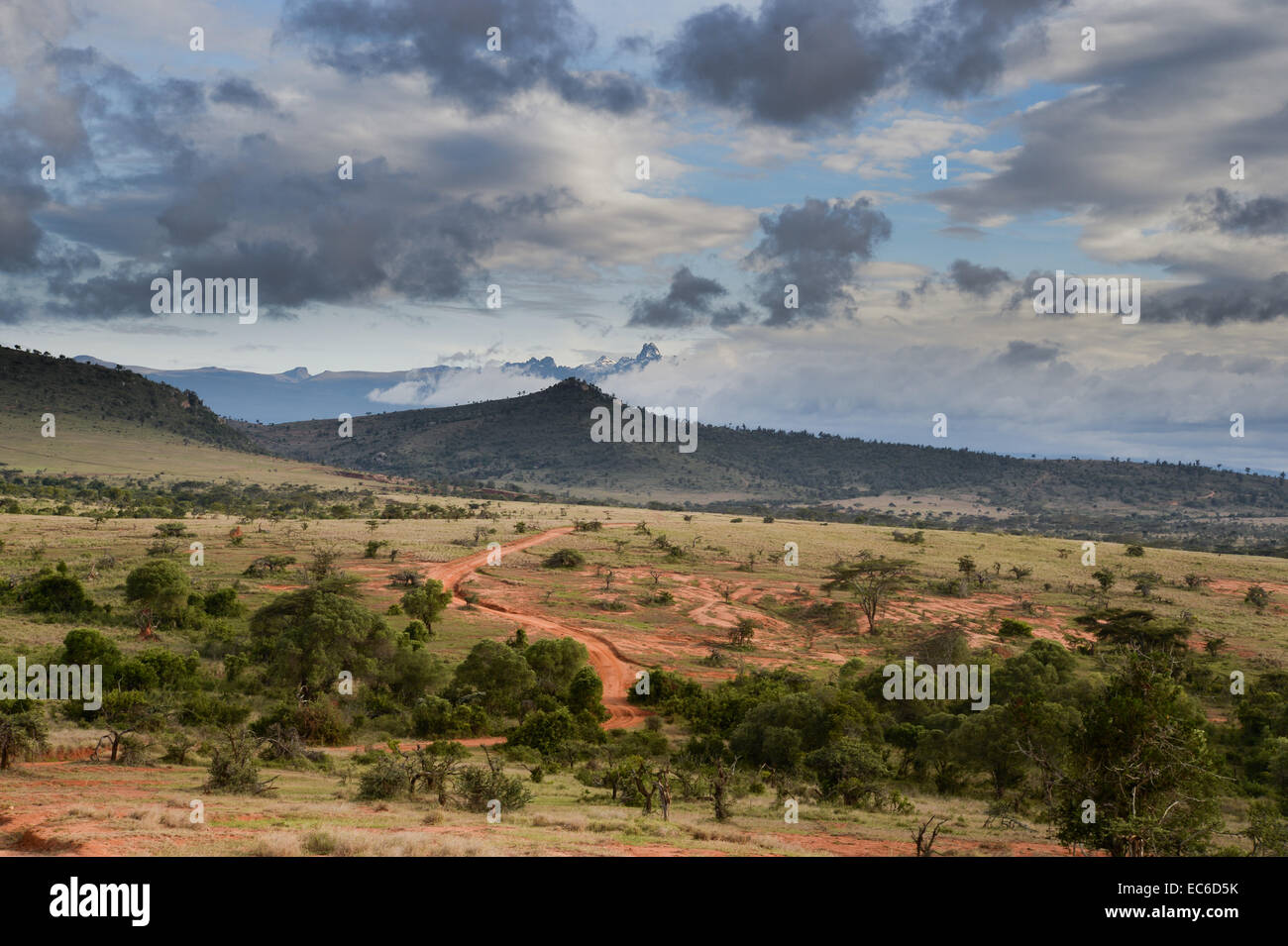 The Lakipia district in the central region of Kenya, on the equator ...