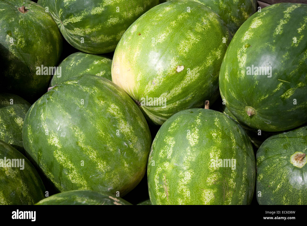 Multiple watermelons hi-res stock photography and images - Alamy