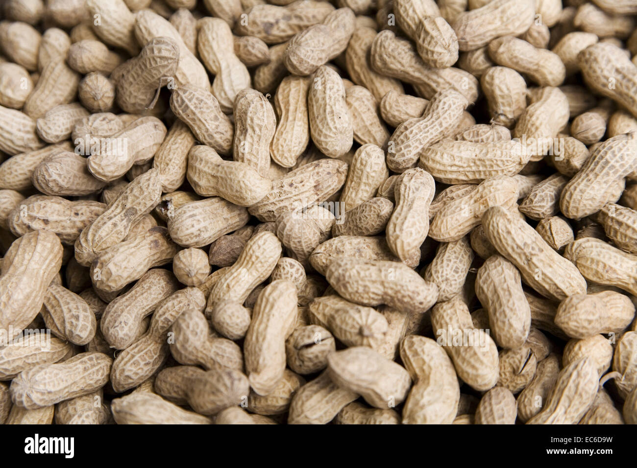 peanuts all over Stock Photo - Alamy