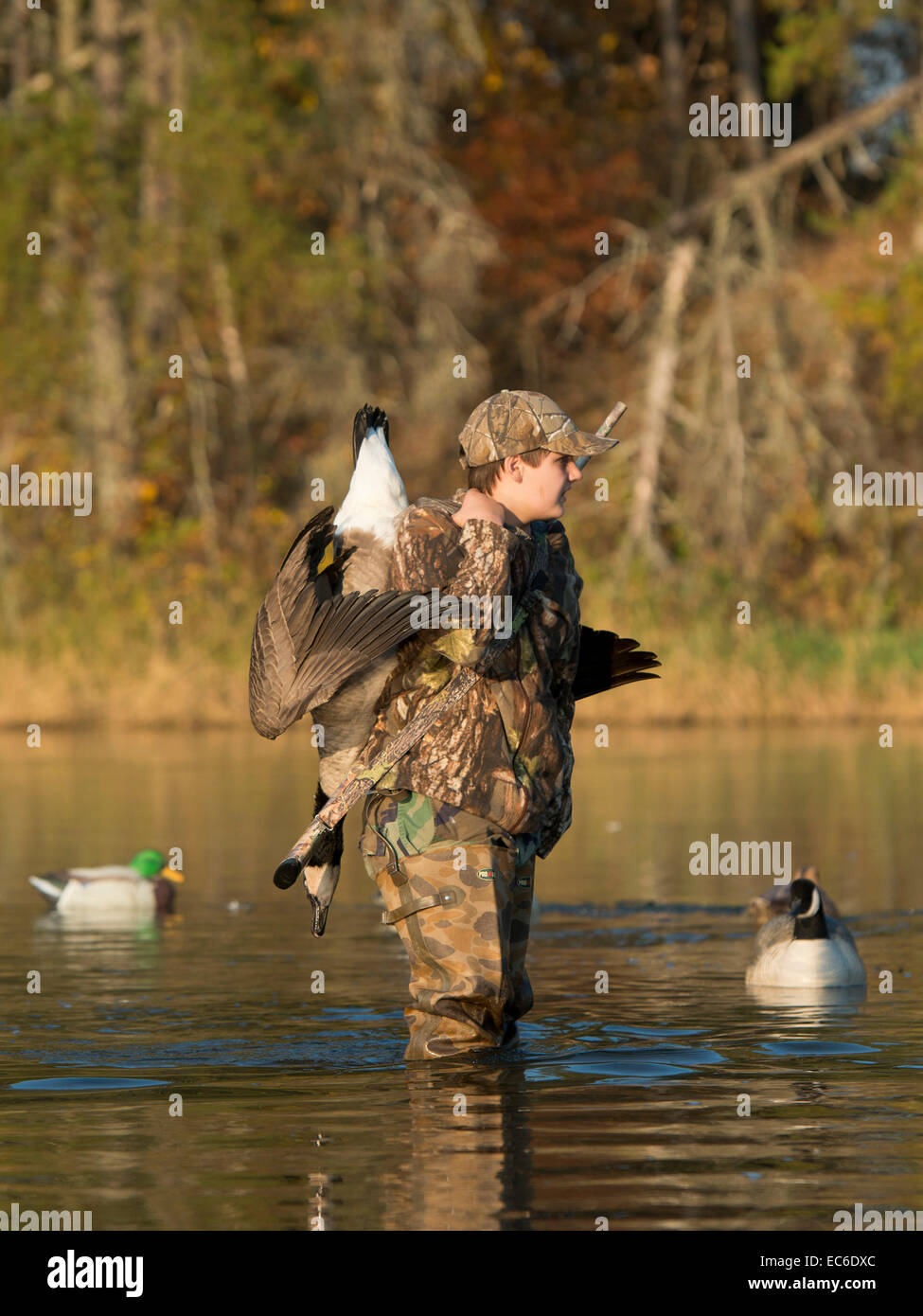 Young Goose Hunter Stock Photo - Alamy