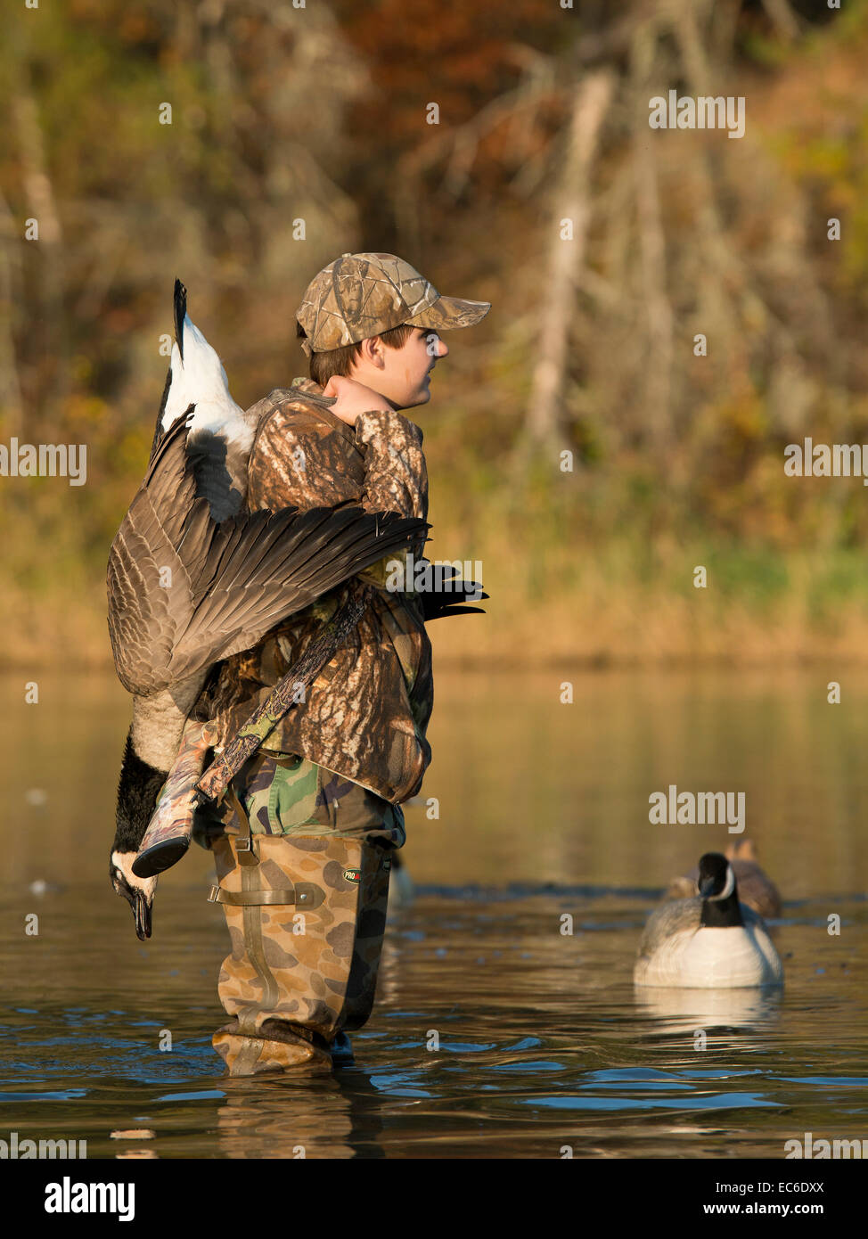 Young Goose Hunter Stock Photo - Alamy