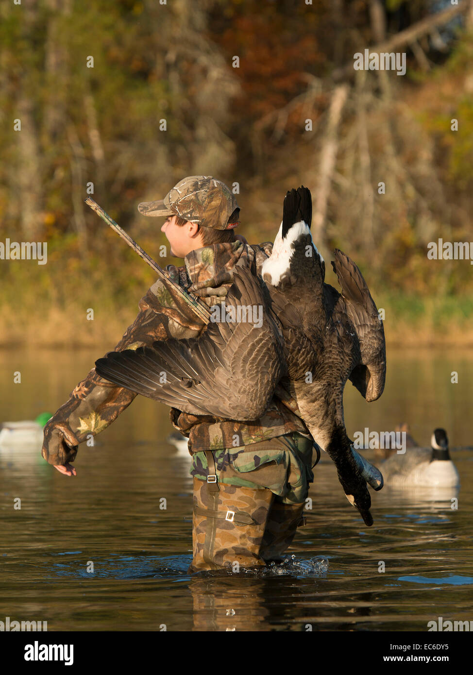 Young Goose Hunter Stock Photo - Alamy