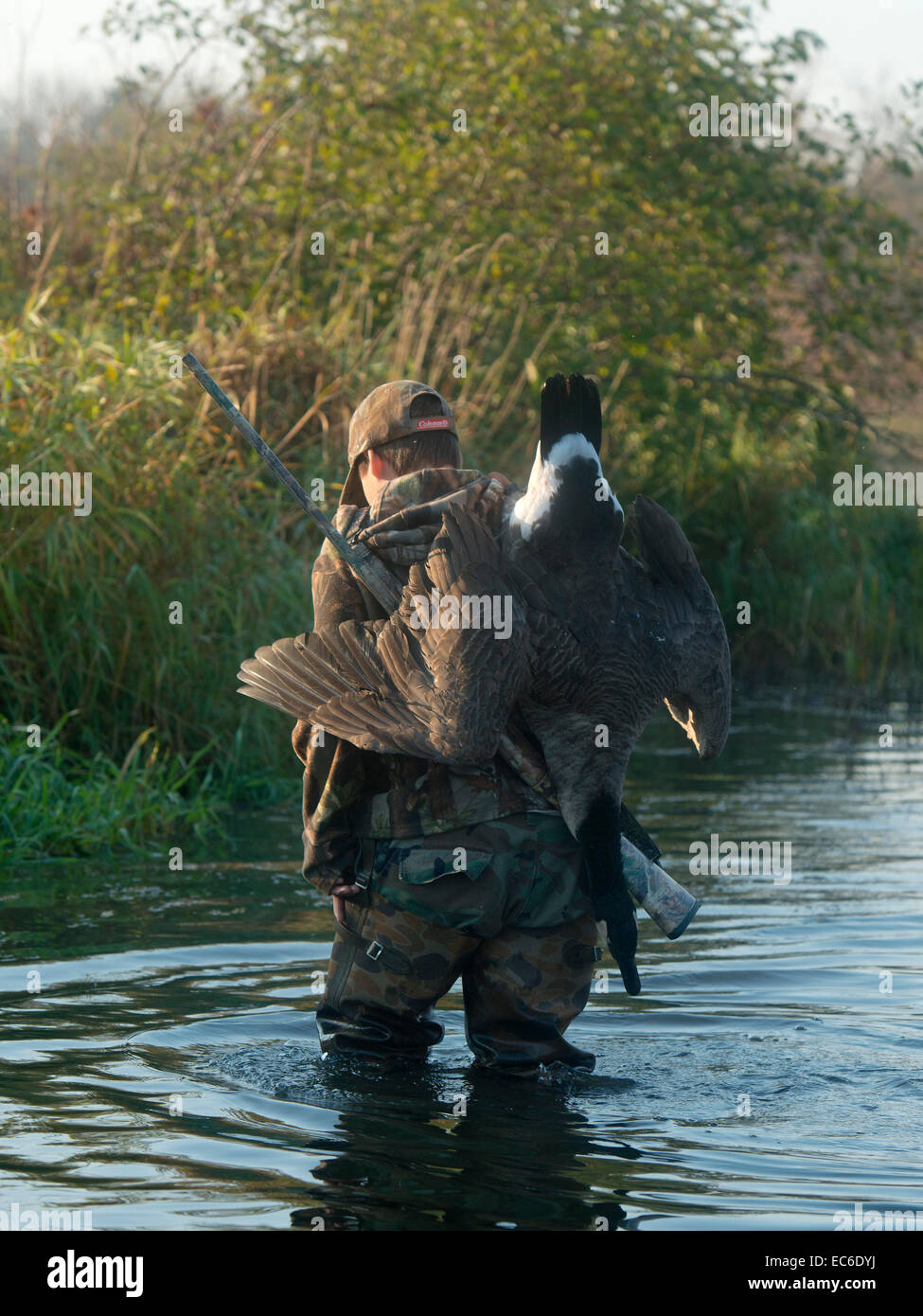 Young Goose Hunter Stock Photo - Alamy