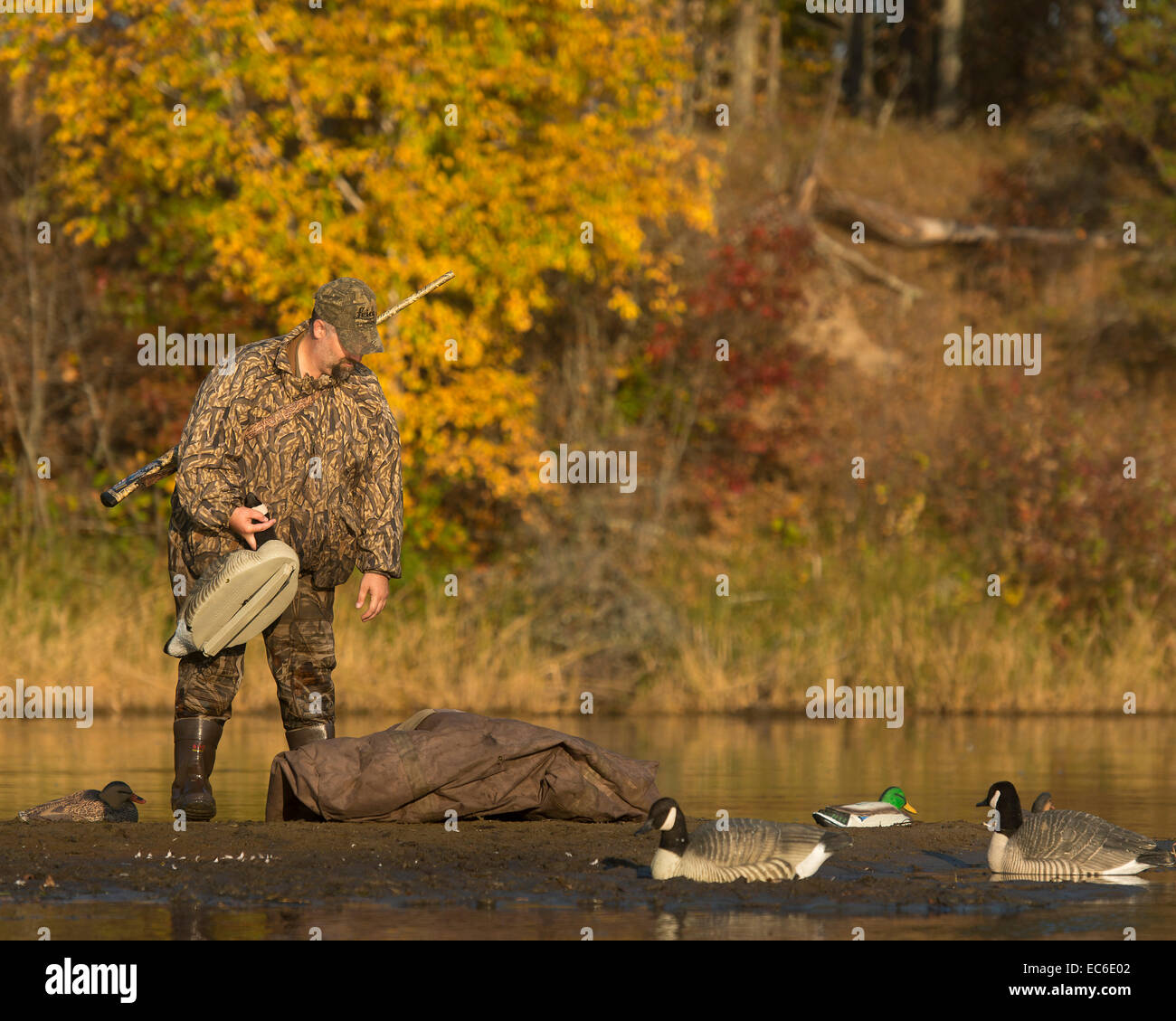 Waterfowl Shooting High Resolution Stock Photography and Images - Alamy