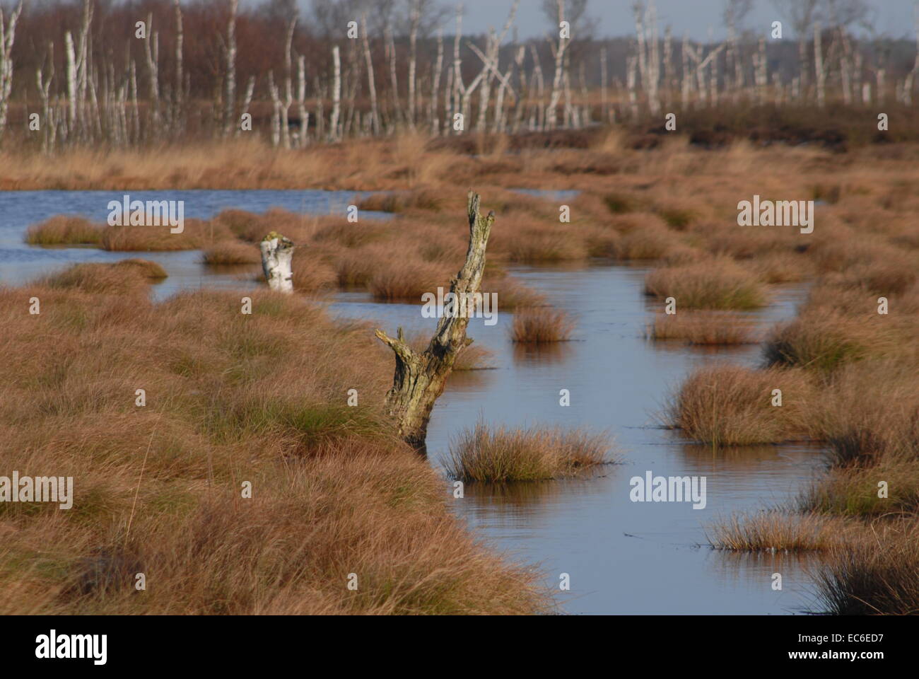 Hollow moor hi-res stock photography and images - Alamy