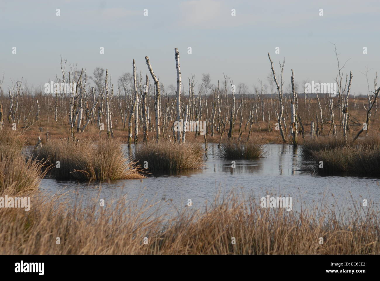 Hollow moor hi-res stock photography and images - Alamy