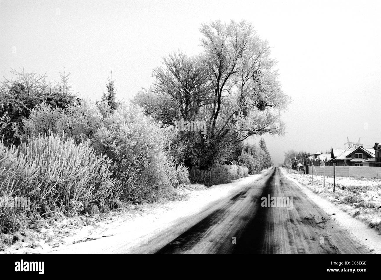 Suburban forest Black and White Stock Photos & Images - Alamy