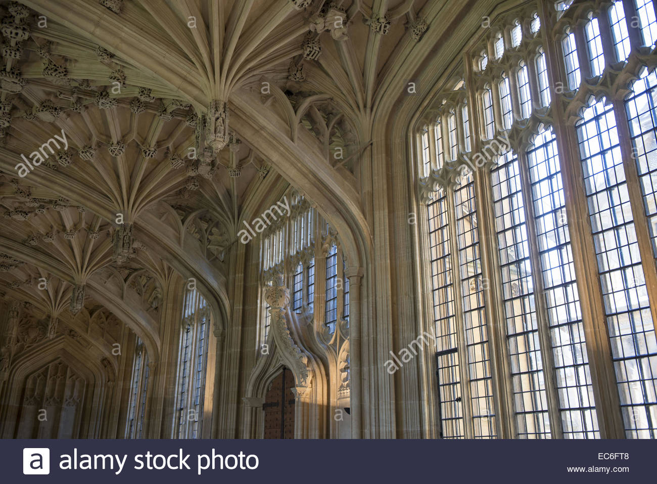 Divinity School Bodleian Library High Resolution Stock Photography and ...