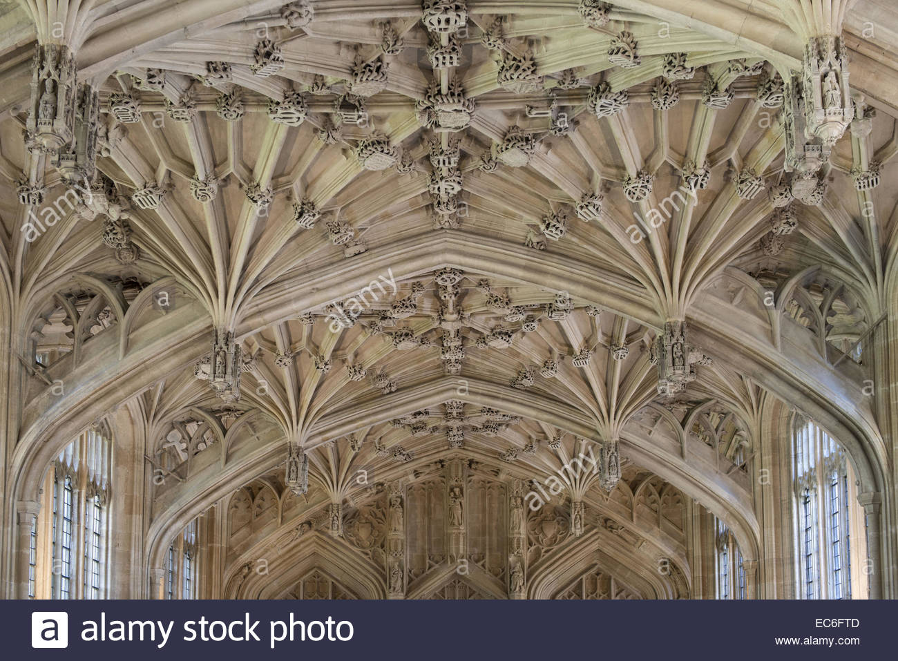 Divinity School Bodleian Library High Resolution Stock Photography and ...