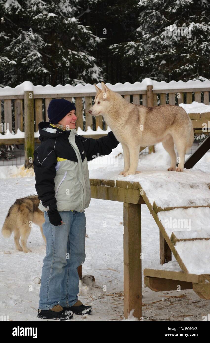 Teenager with husky Stock Photo - Alamy