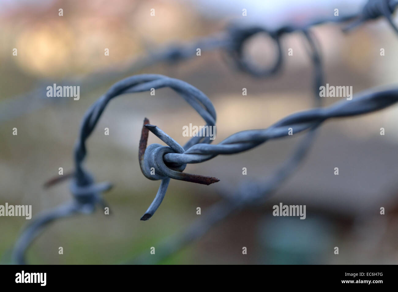 Barbed wire symbolism hi-res stock photography and images - Alamy
