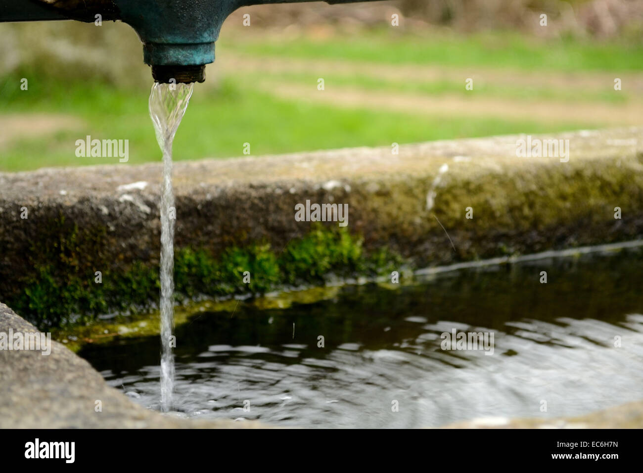Old water trough hi-res stock photography and images - Alamy