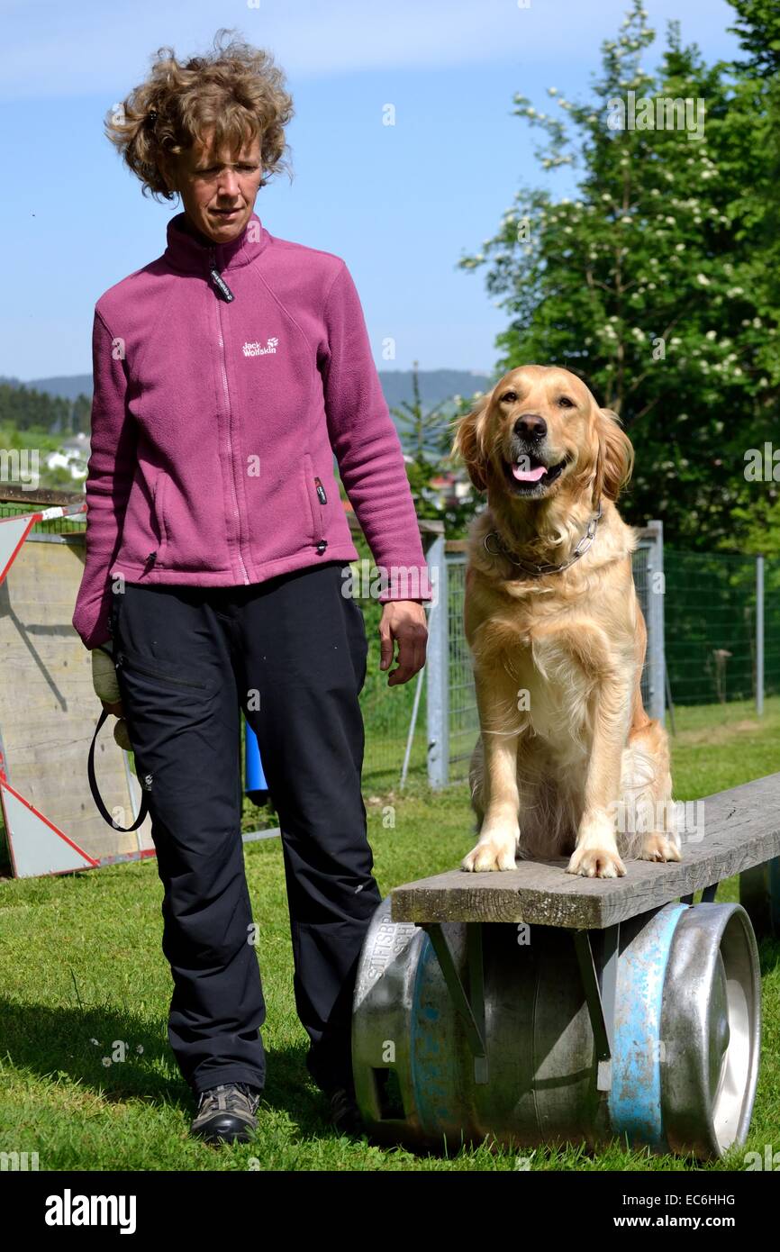 Woman at rescue dog training Stock Photo - Alamy