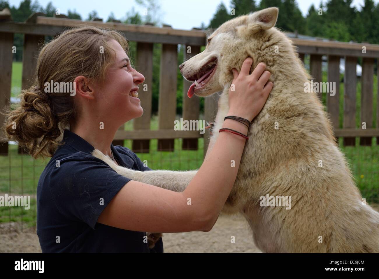 Happy teenager with Husky Stock Photo - Alamy
