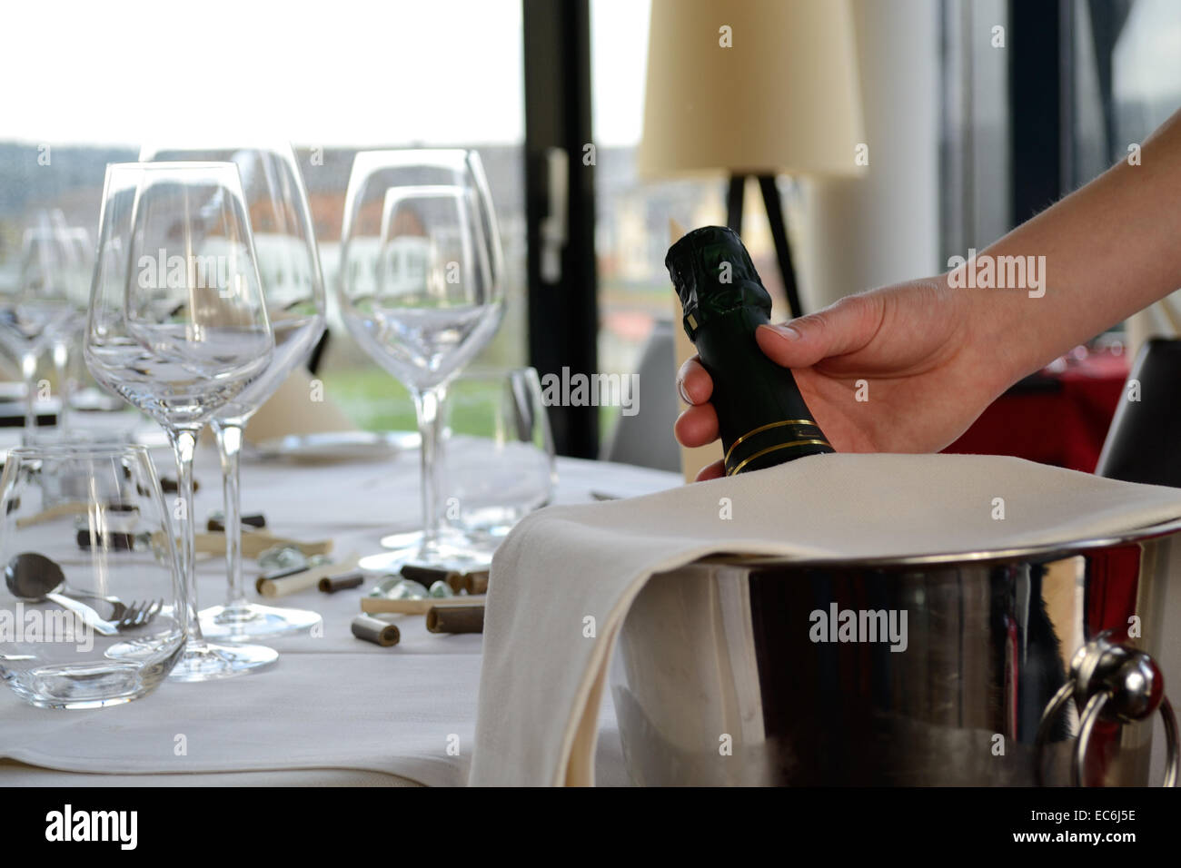 Person takes the champagne bottle out wine cooler Stock Photo - Alamy