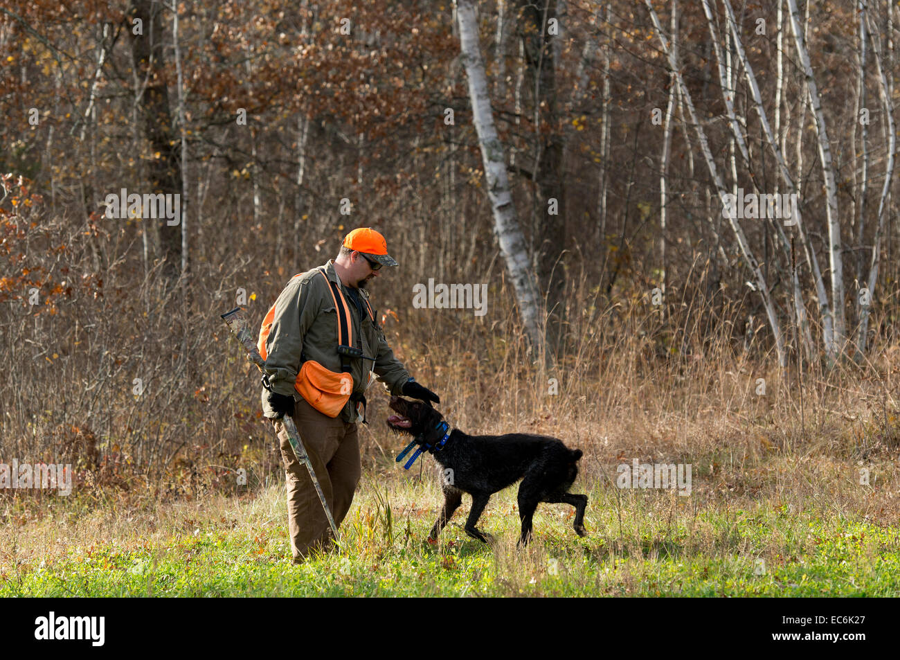 Hunter in the fall Stock Photo - Alamy