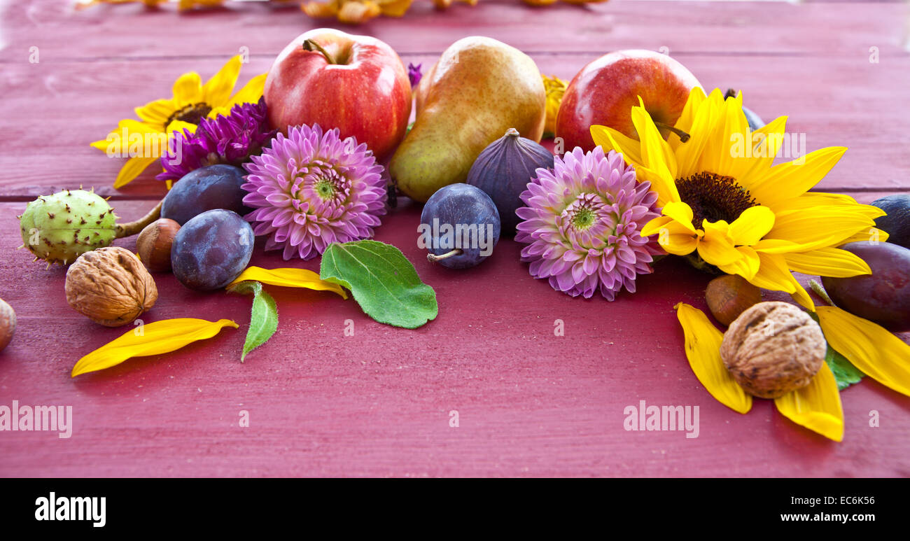 Decorative fruit plant hi-res stock photography and images - Alamy