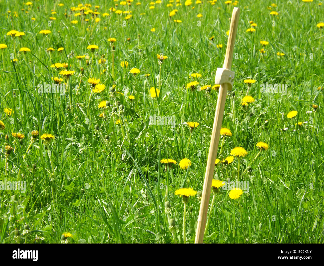 Best sword hi-res stock photography and images - Alamy