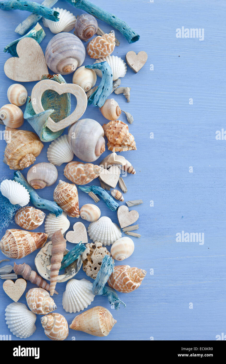 Blue background with sea shells Stock Photo - Alamy