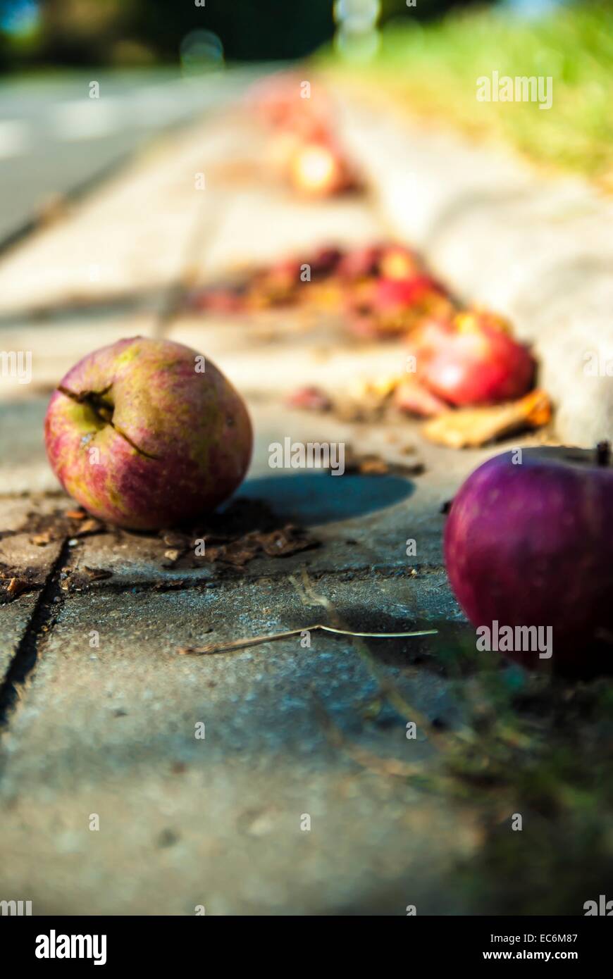 Autumn apples at roadside Stock Photo - Alamy