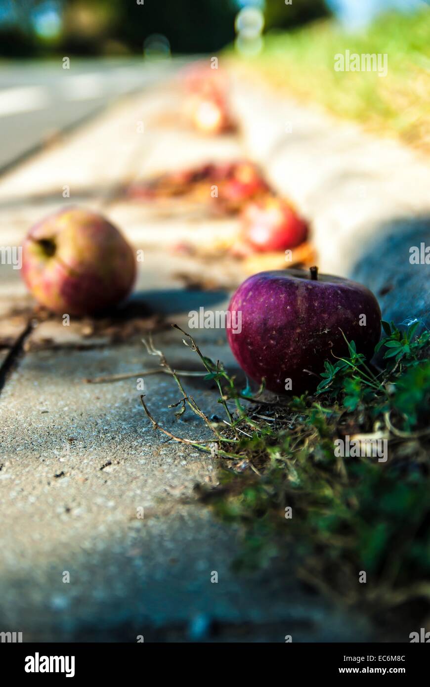 Autumn apples at roadside 6 Stock Photo - Alamy