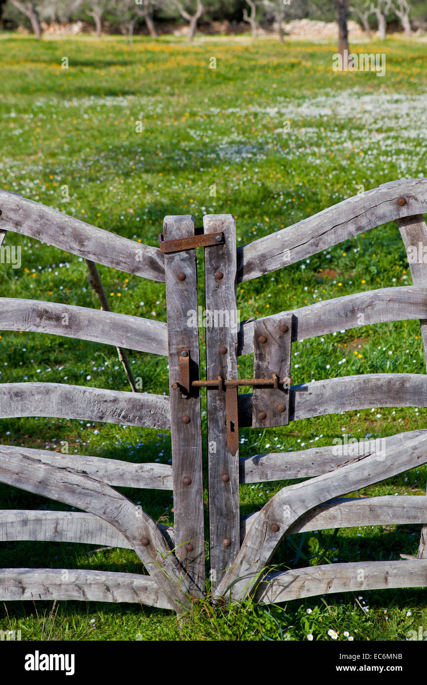 Rustic gate in front of green meadow Stock Photo - Alamy