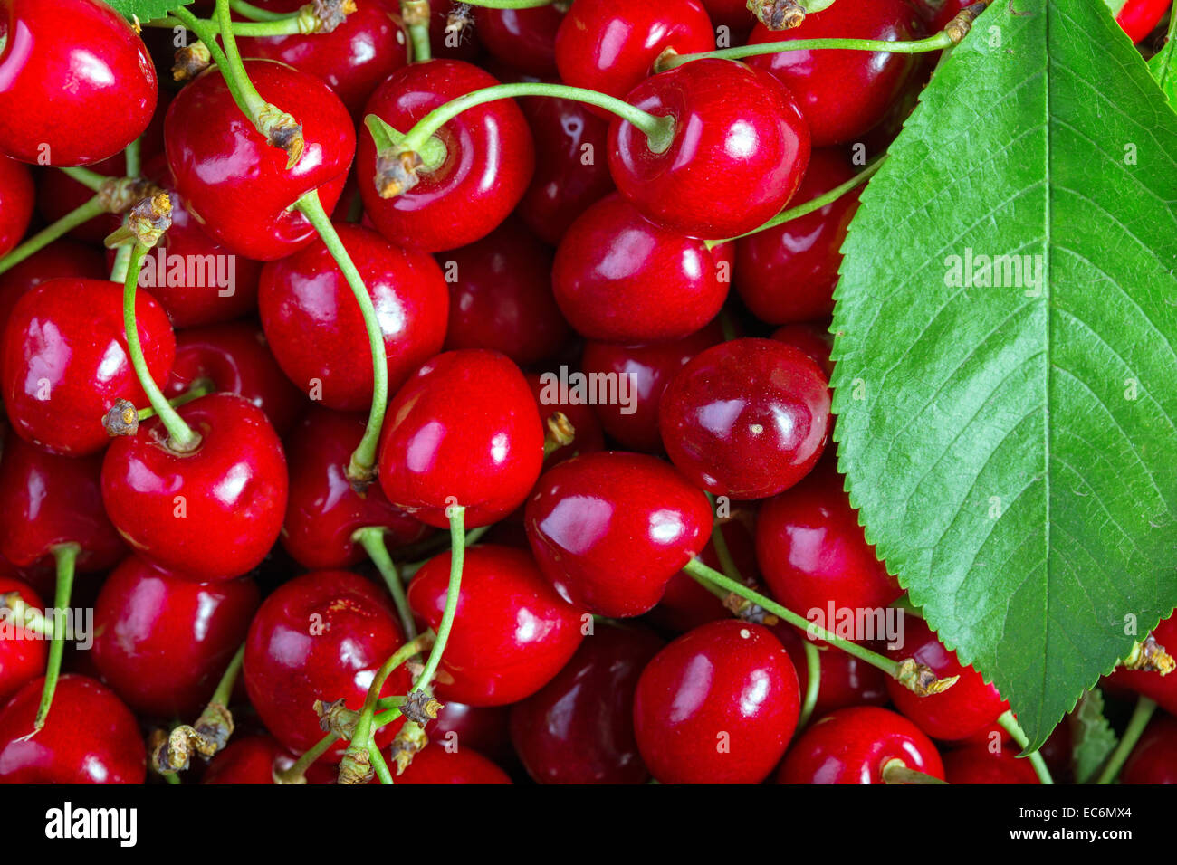 background of red cherries, closeup Stock Photo - Alamy