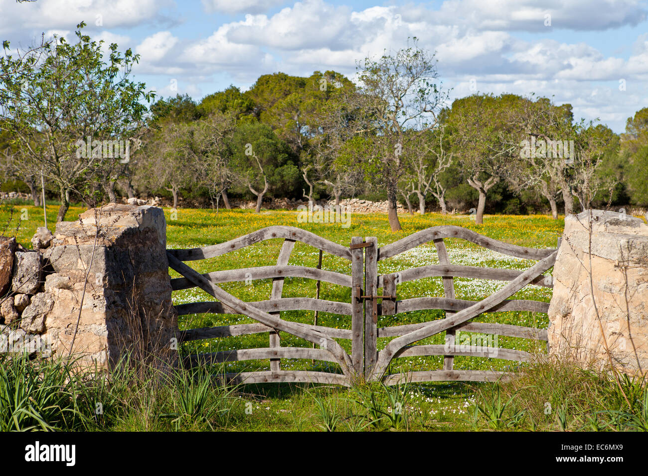 Rustic gate in front of a green meadow Stock Photo - Alamy