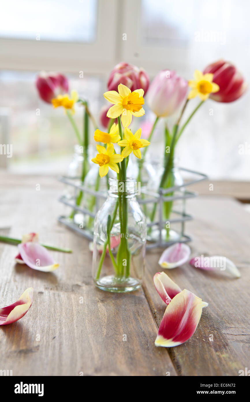 Colorful spring flowers Stock Photo - Alamy
