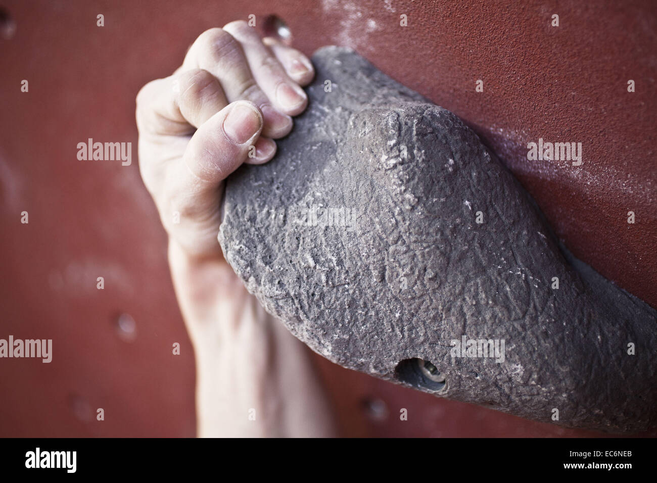 Climbers hand on a grip in an indoor climbing hall Stock Photo - Alamy