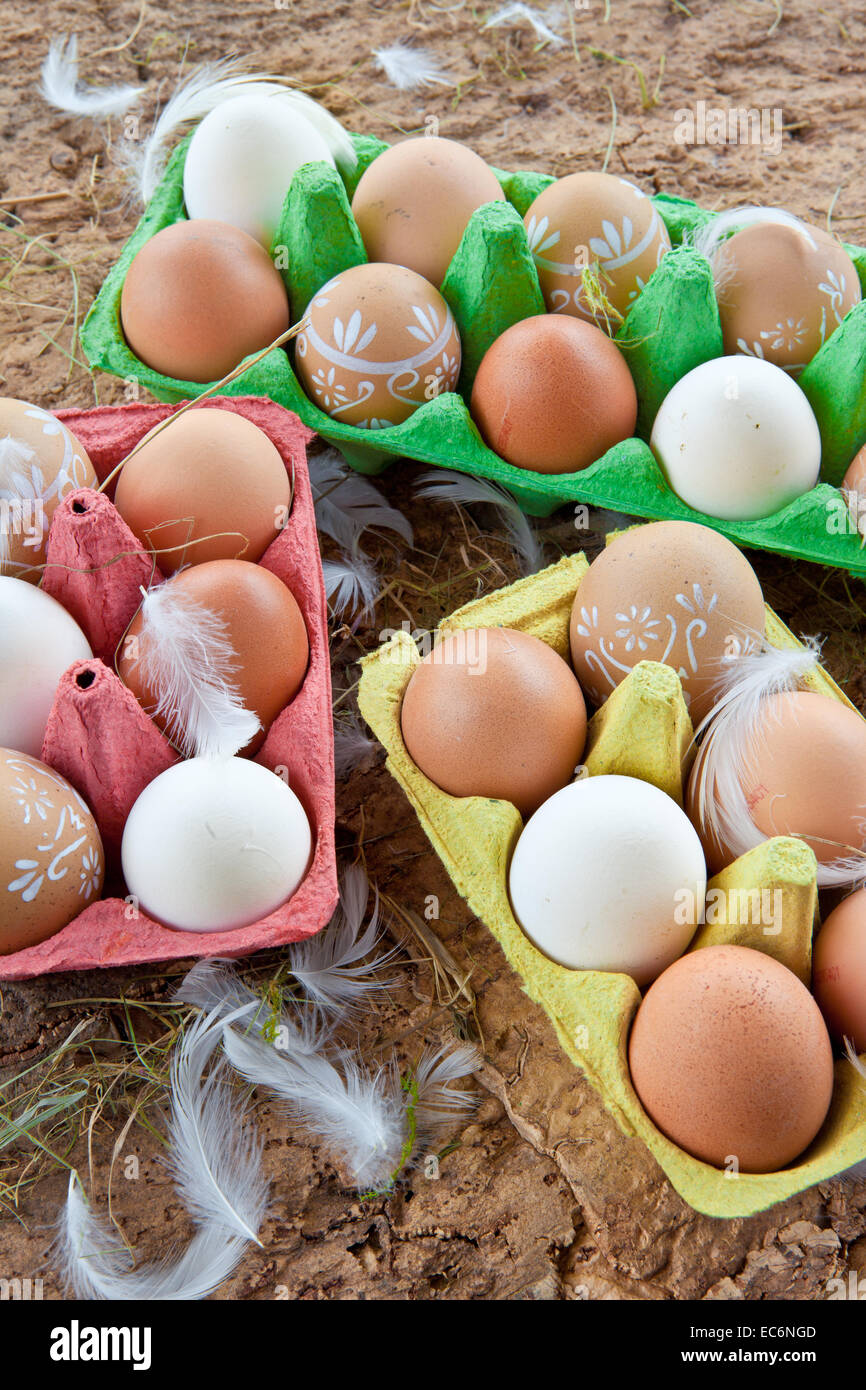 Variety of eggs Stock Photo - Alamy