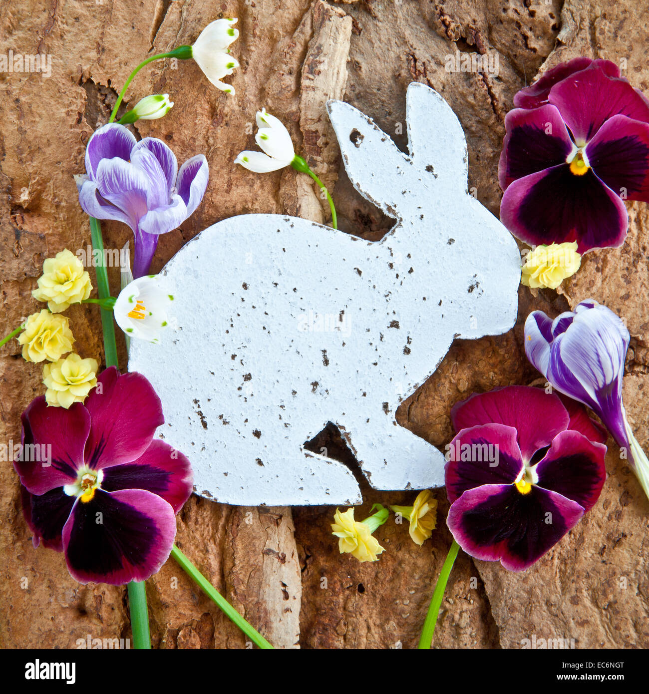 Spring flowers and easter bunny Stock Photo - Alamy