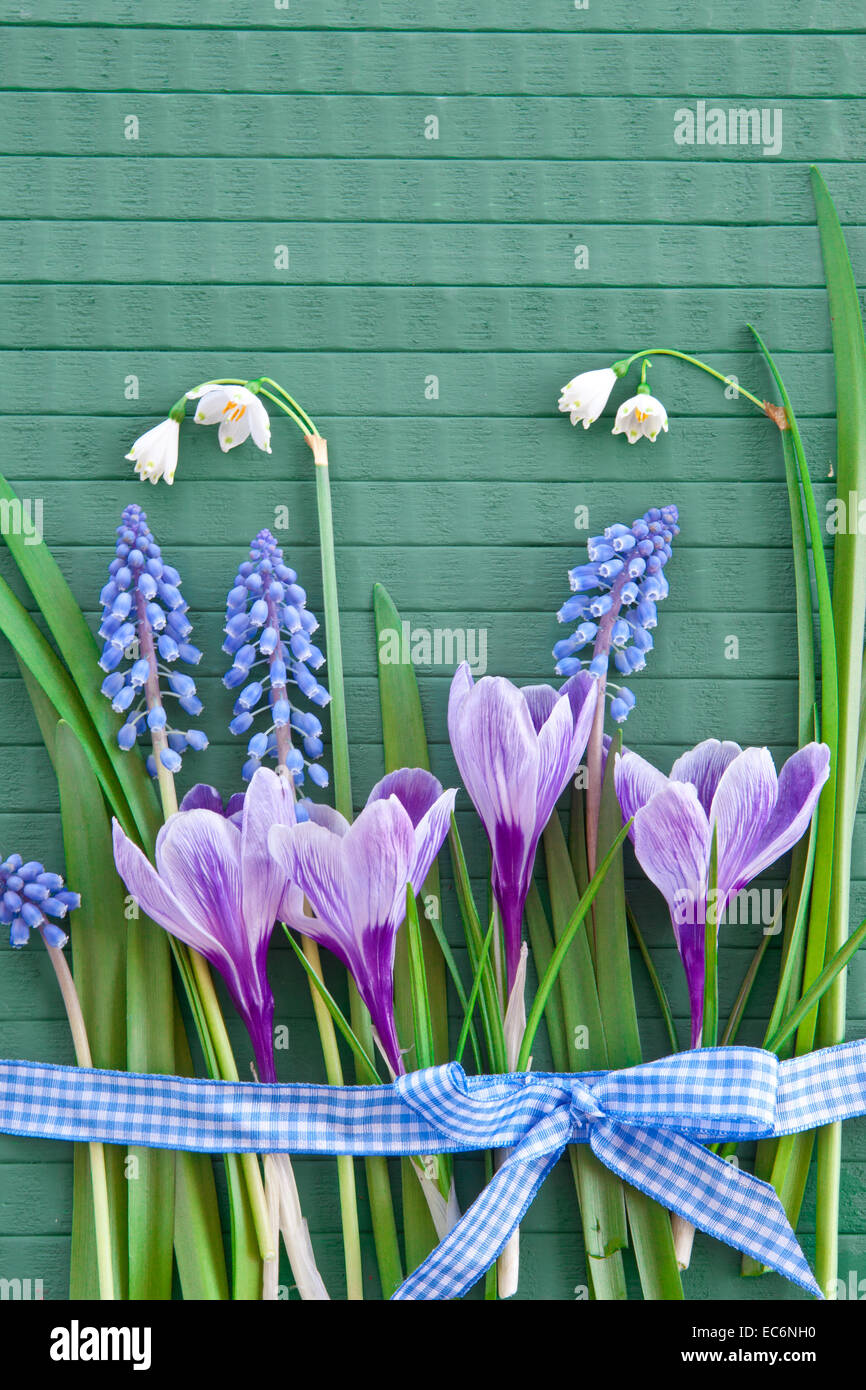 Fresh spring flowers Stock Photo - Alamy