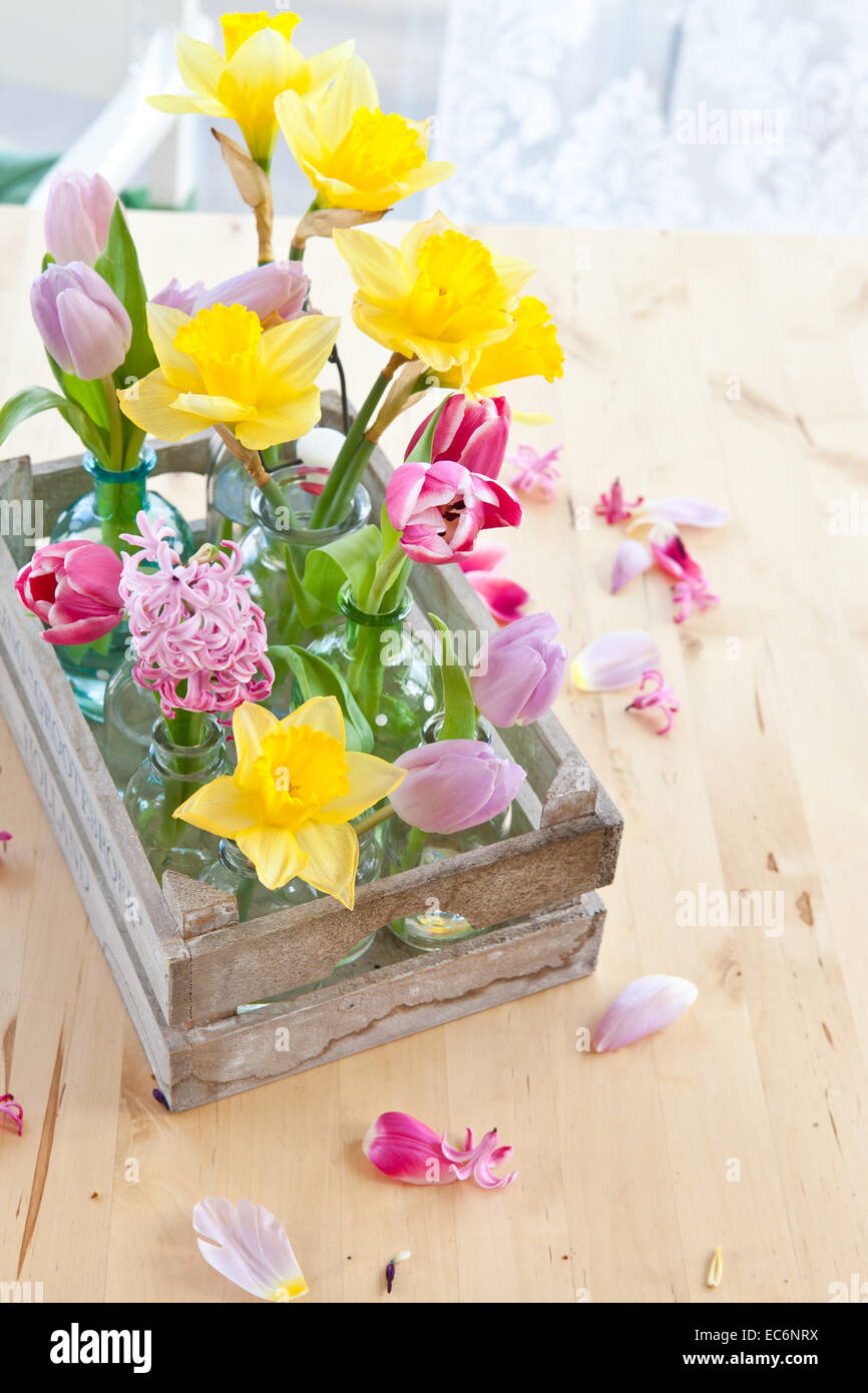 Colorful spring flowers Stock Photo - Alamy