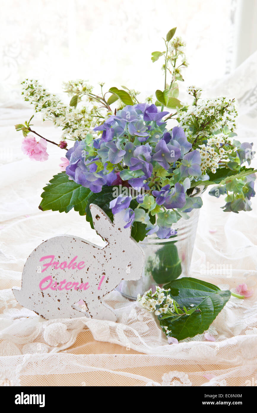 Blue bunny hydrangea hi-res stock photography and images - Alamy